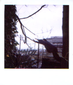 The Cube Microplex FAQ